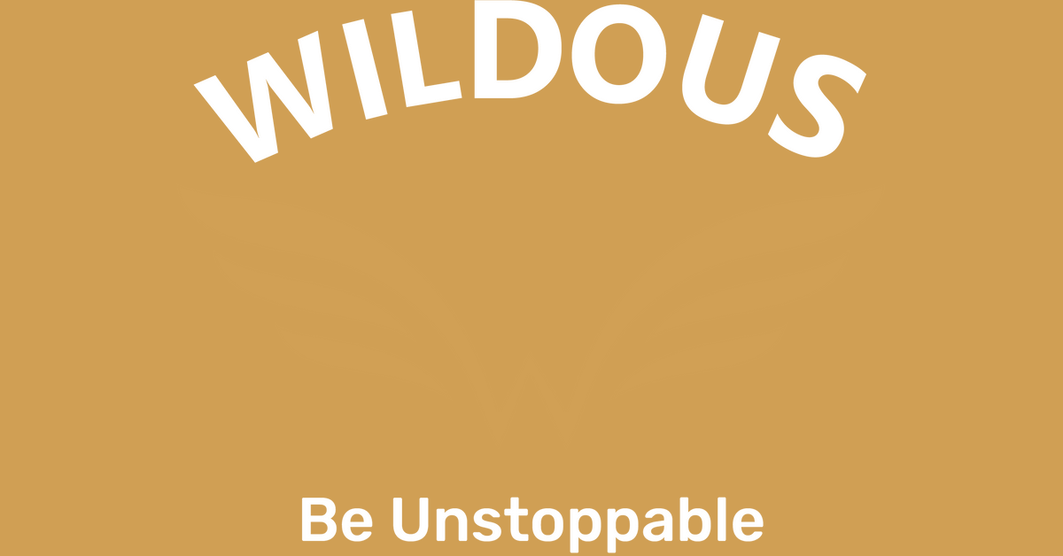 School Bag – Wildous
